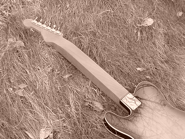 Tele Lap Steel | Telecaster Guitar Forum